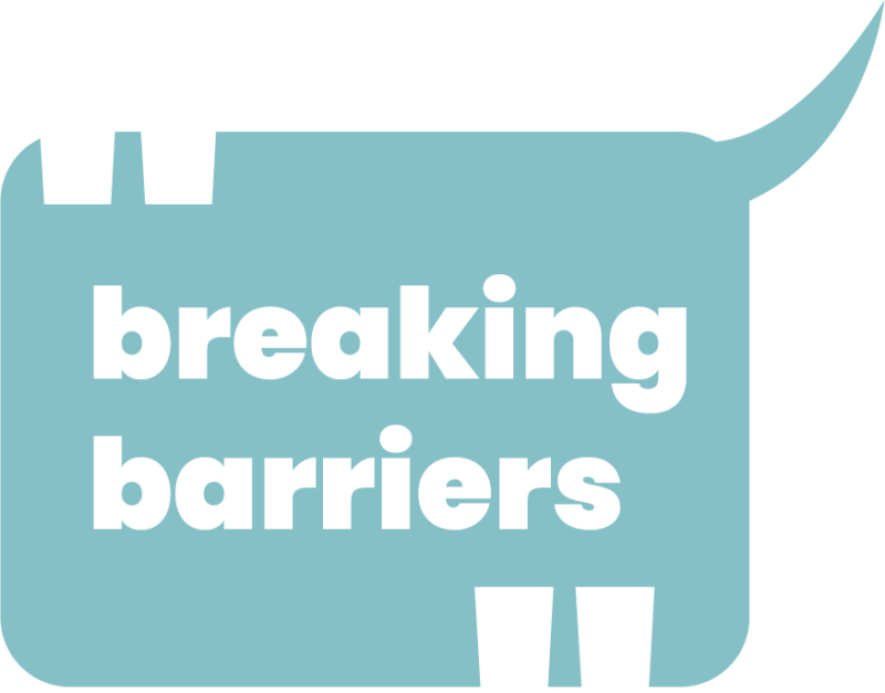 Our Strategy - ARCAD Software